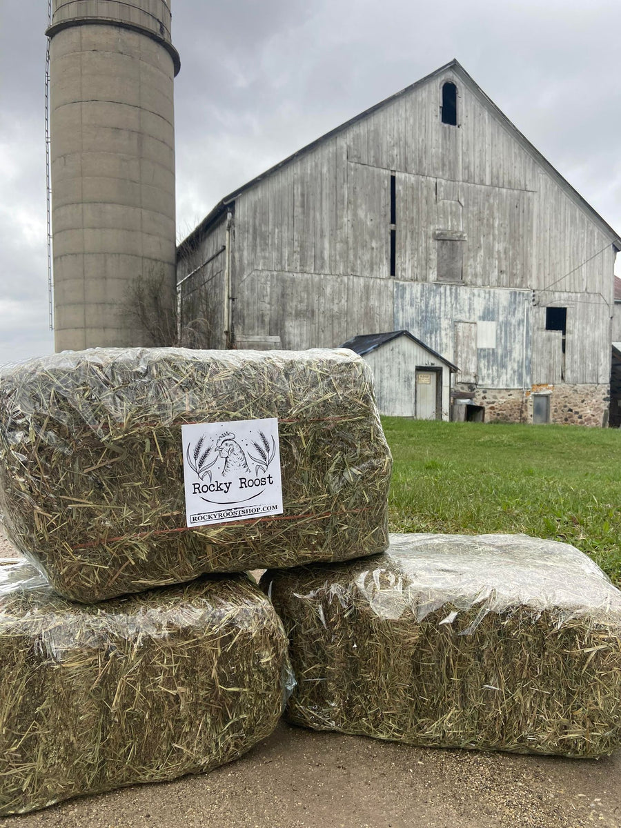 Timothy Hay - 10lbs Mini Bales