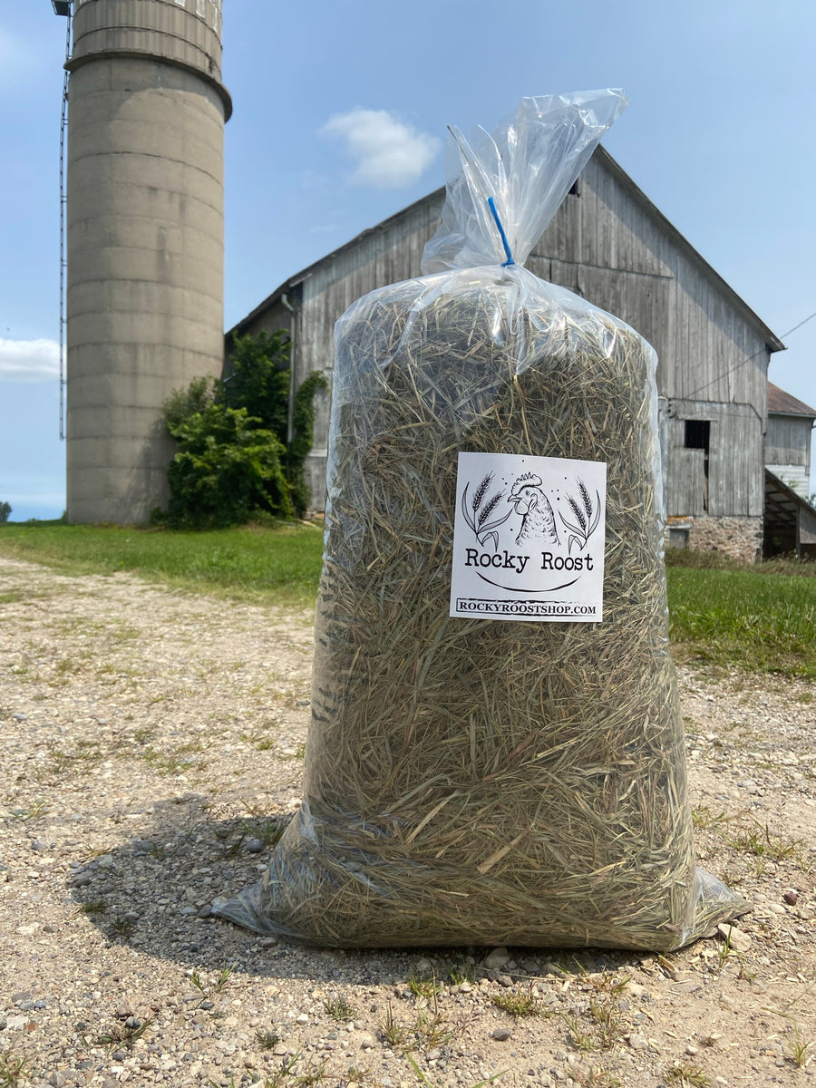 Bulk Pet Hay 6lb - Rocky Roost